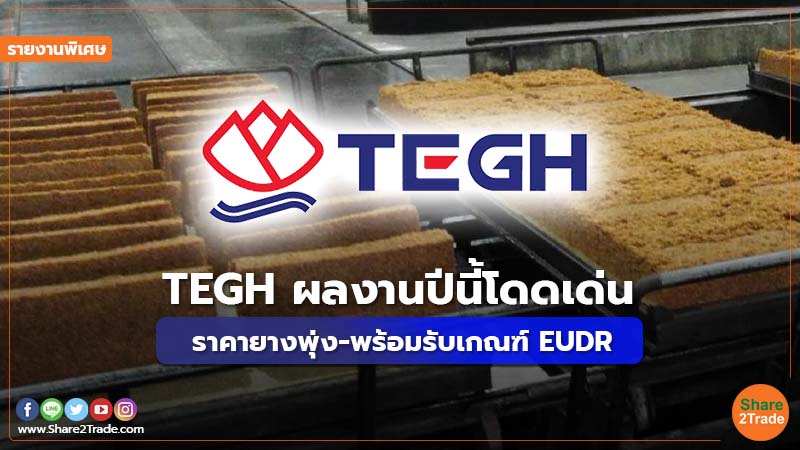 รายงานพิเศษ : TEGH ผลงานปีนี้โดดเด่น ราคายางพุ่ง-พร้อมรับเกณฑ์ EUDR | Share2Trade